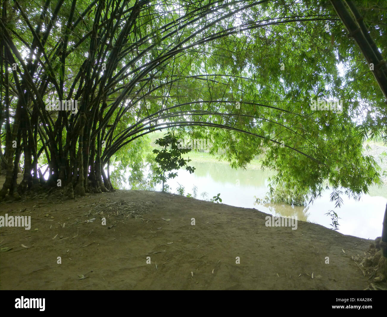 The Philippines...A few interesting things in and around the ...