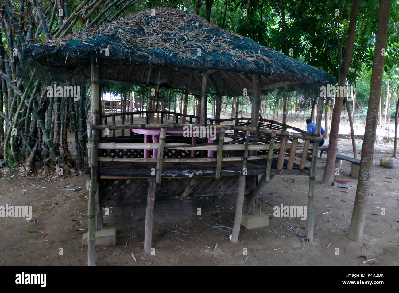 The Philippines...A few interesting things in and around the ...