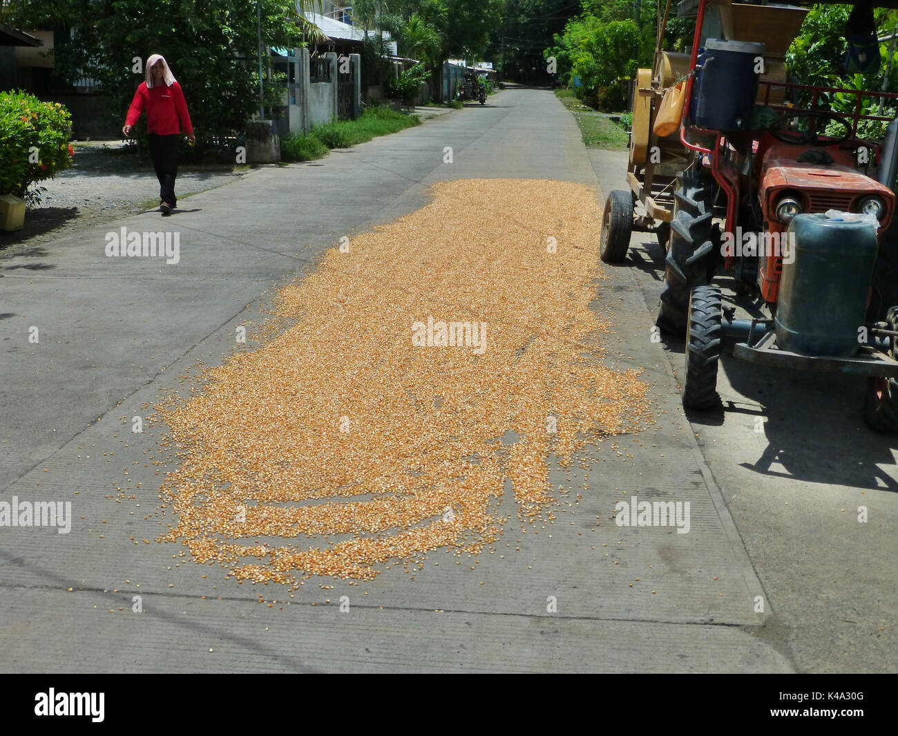 The Philippines...A few interesting things in and around the ...