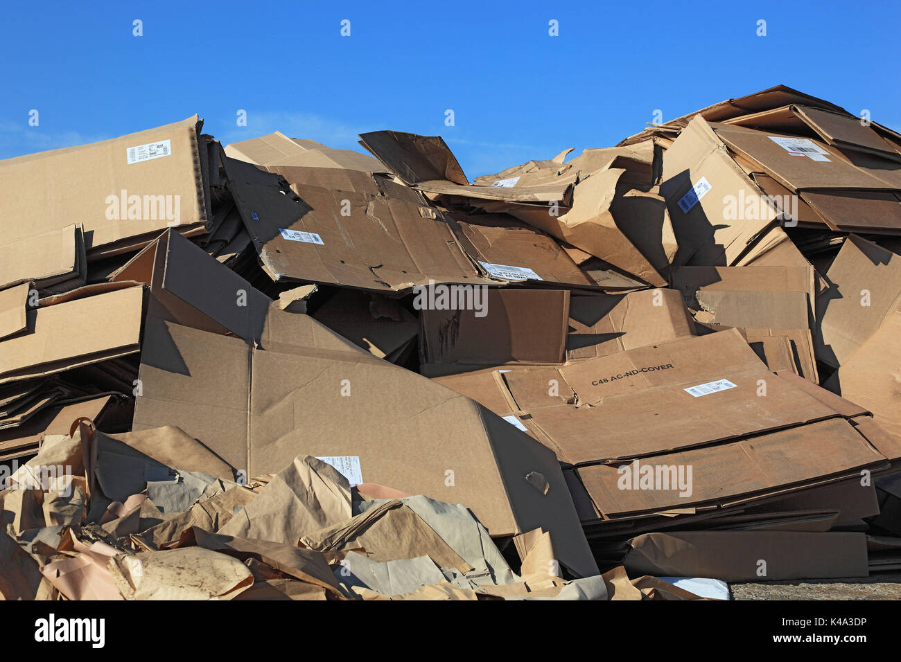 Recycling company, stock waste paper, cardboard, Recyclingbetrieb ...