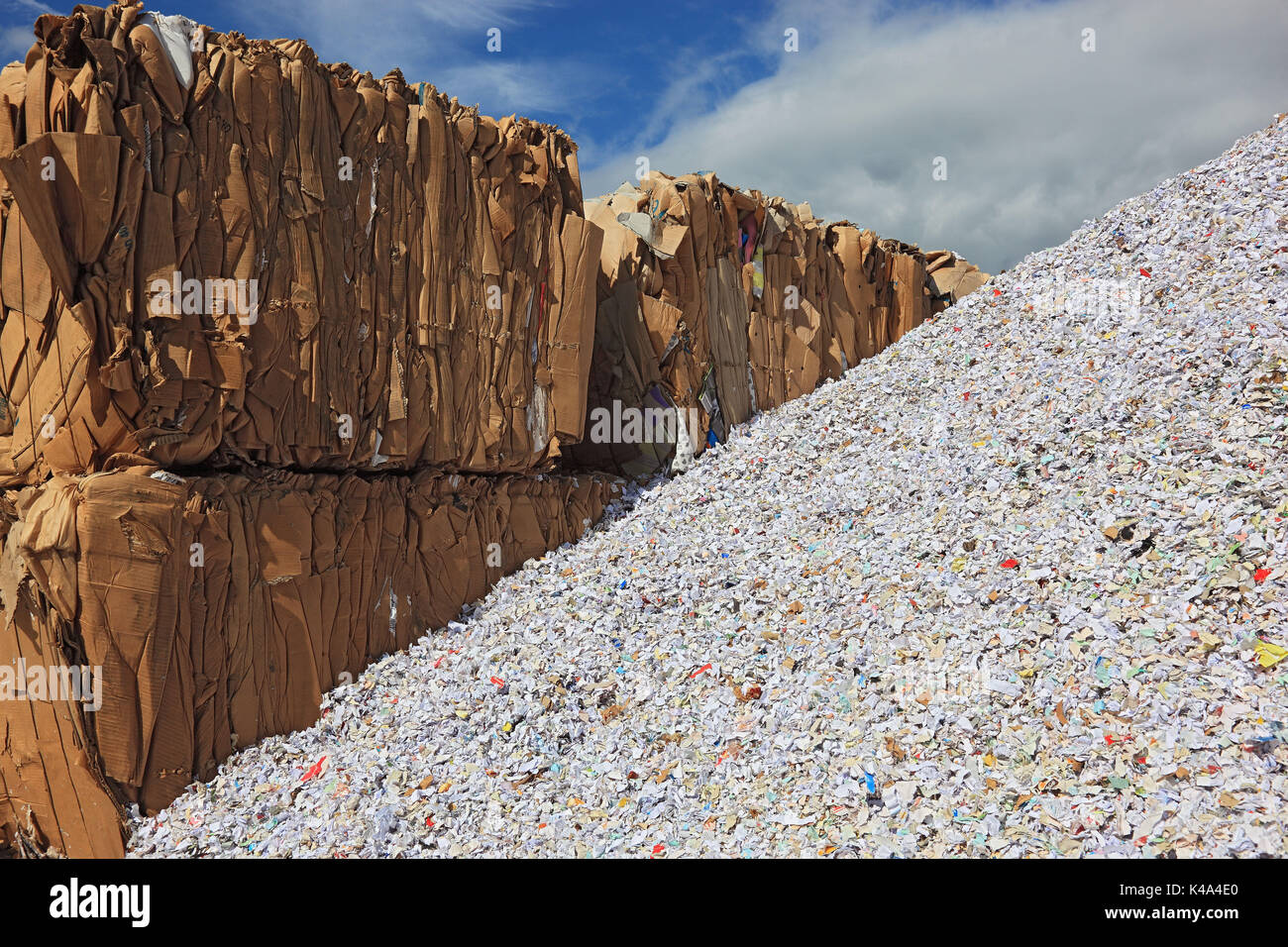 Waste paper, shredded waste paper in a recycling company, paper flakes ...