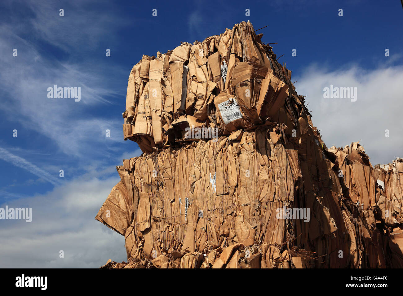 Waste paper, stacked bales with cardboard packagings in a recycling ...
