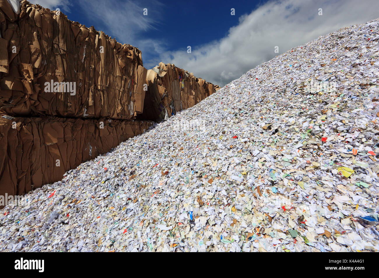 Waste paper, shredded waste paper in a recycling company, paper flakes ...
