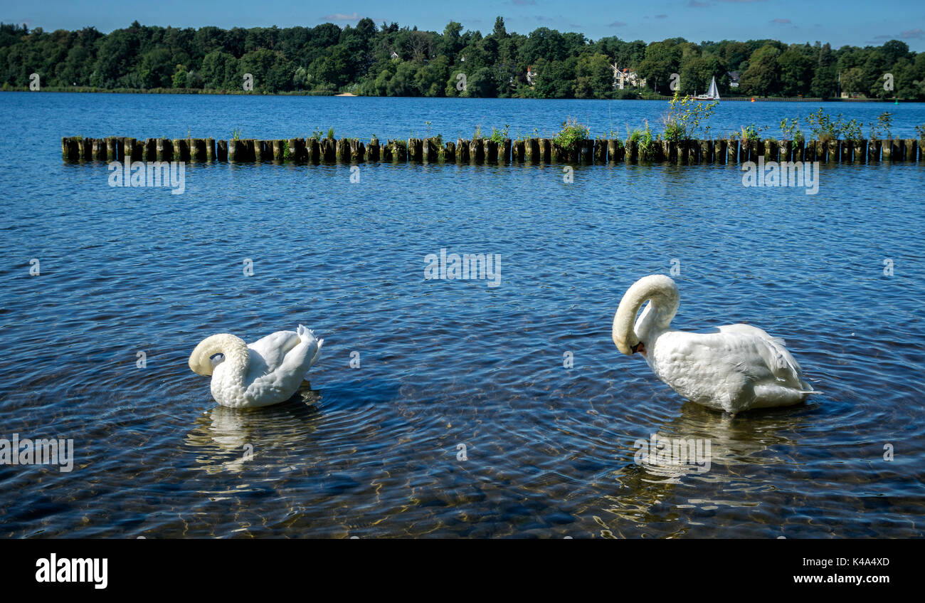 Gooseneck lake hi-res stock photography and images - Alamy