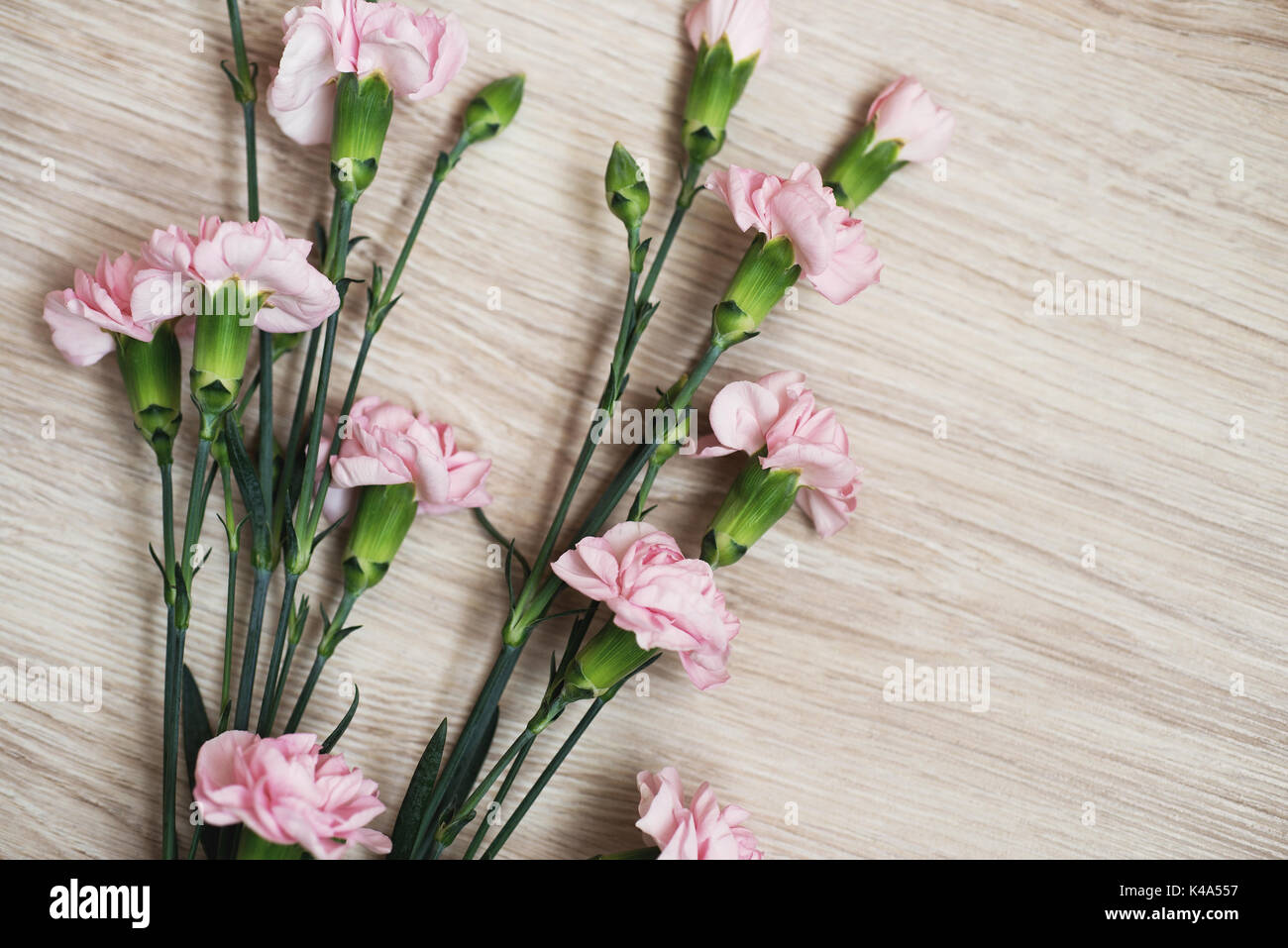 How to lay laminate hi-res stock photography and images - Alamy