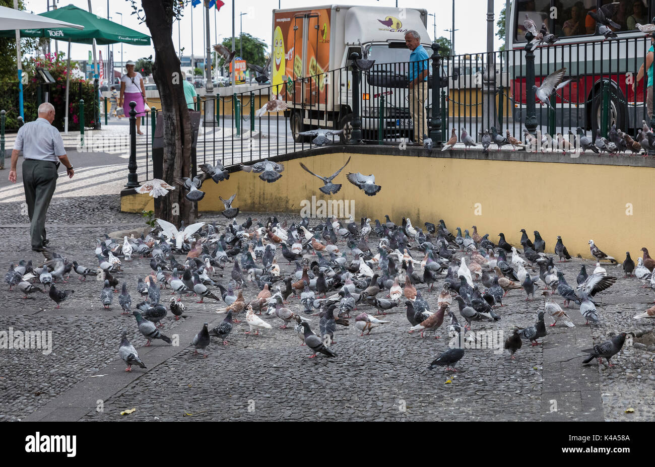 Deaf feeding hi-res stock photography and images - Alamy