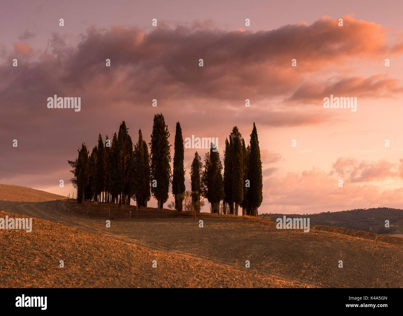 Val dorcia cypress trees hi-res stock photography and images - Alamy