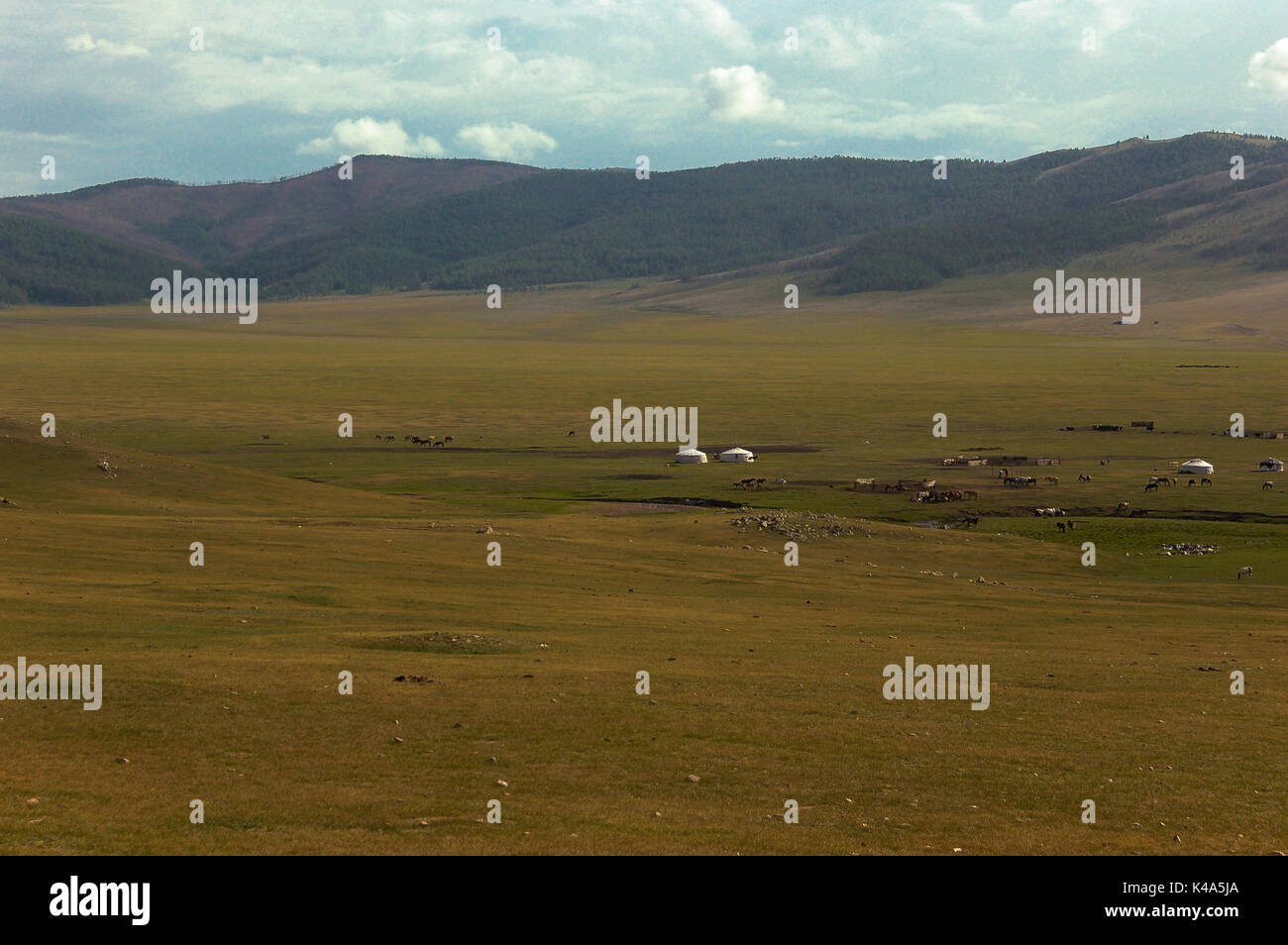 Mongolian village scene hi-res stock photography and images - Alamy