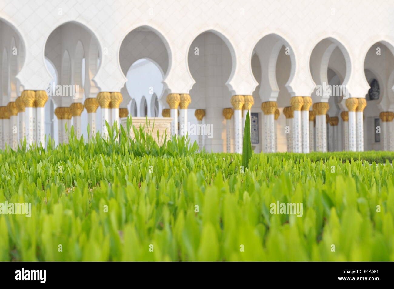 Beautiful grass outside of Grand Mosque Stock Photo - Alamy