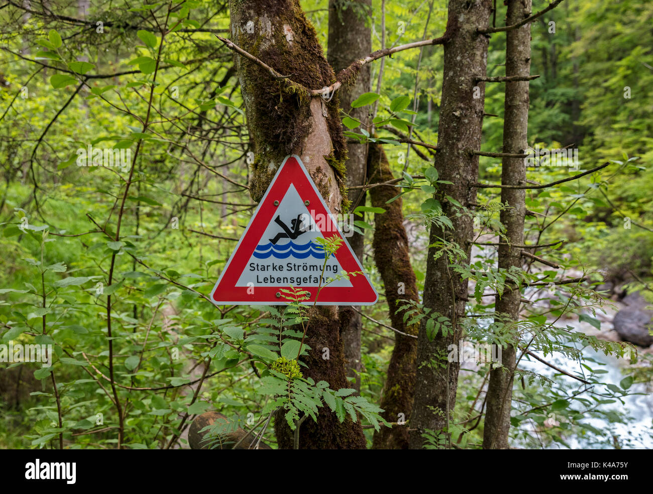 Attention regulation hi-res stock photography and images - Alamy