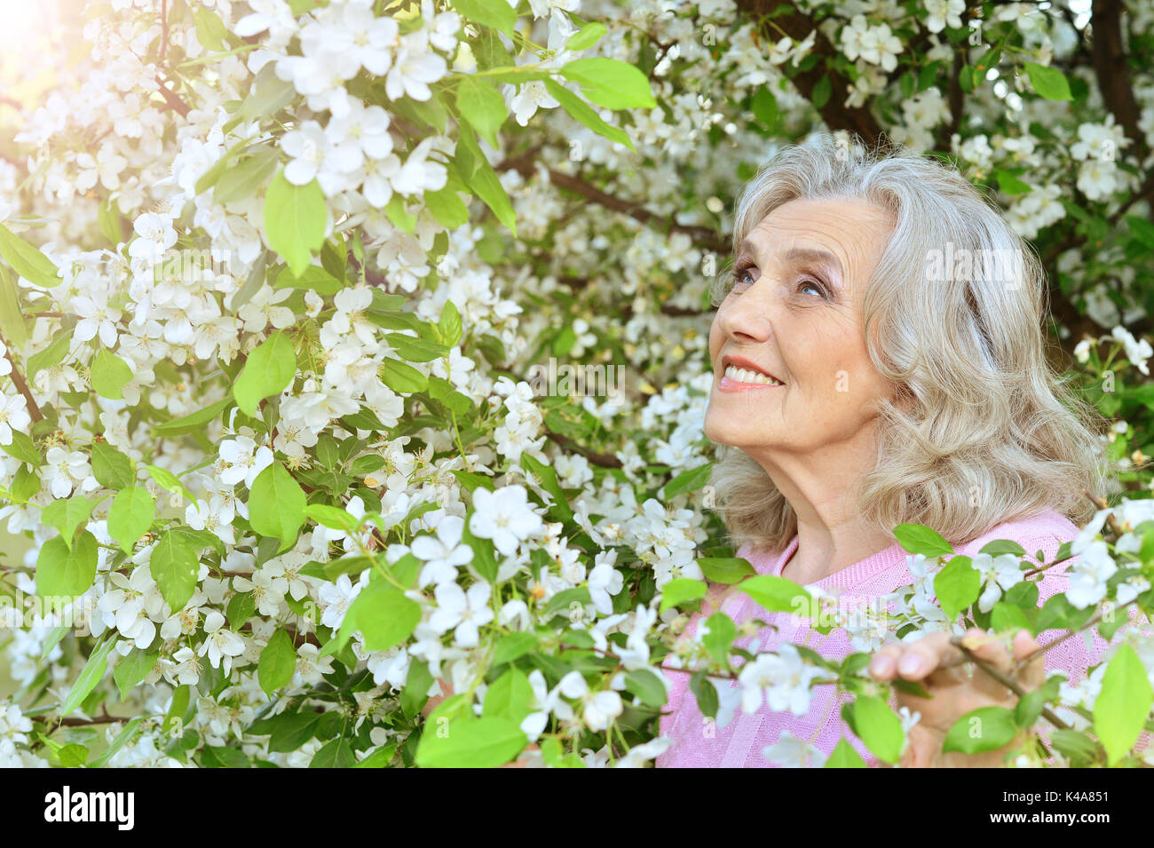 Aged colour hi-res stock photography and images - Alamy