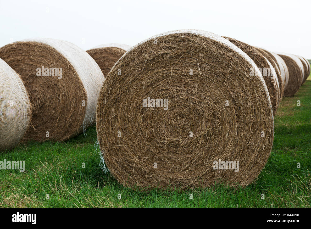 Round hay bales Stock Photo - Alamy