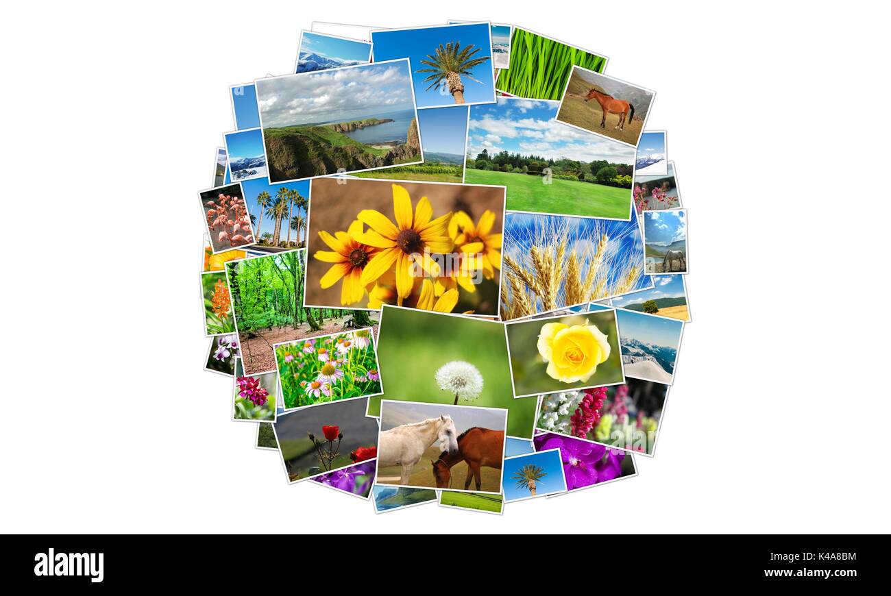 Frame made of various nature photos Stock Photo - Alamy
