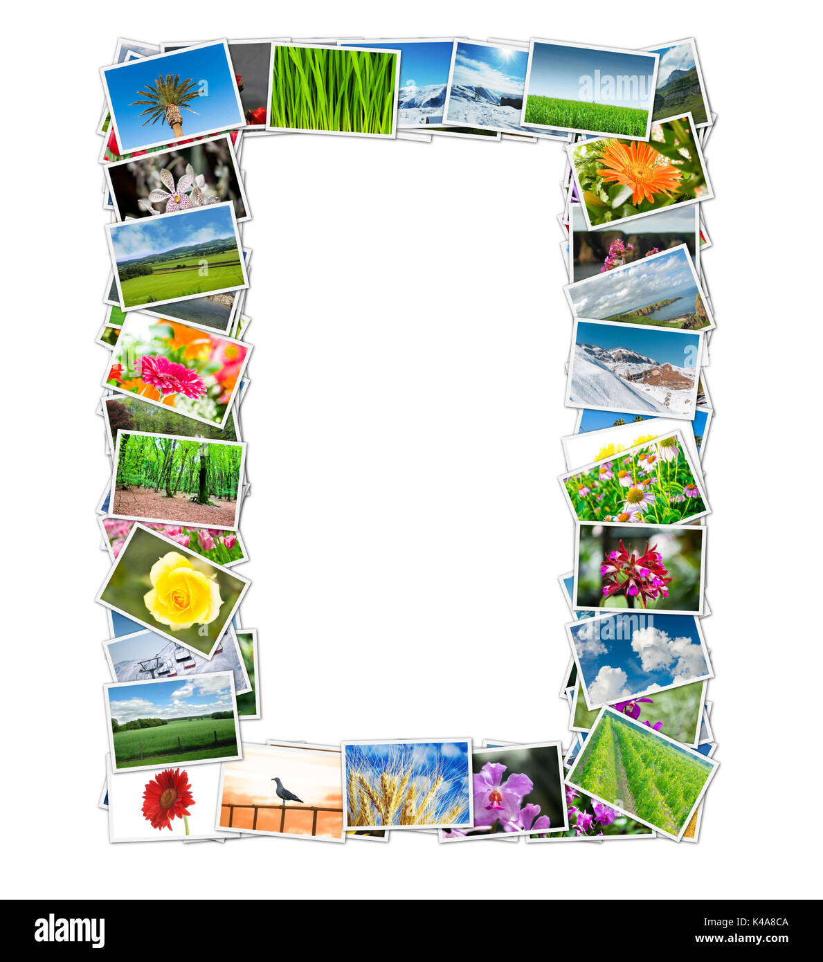 Frame made of various nature photos Stock Photo - Alamy