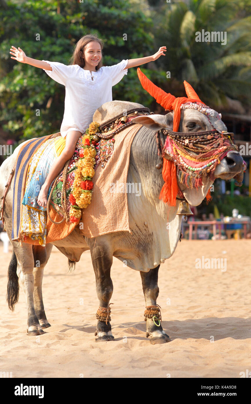 little girl sitting on bull Stock Photo - Alamy