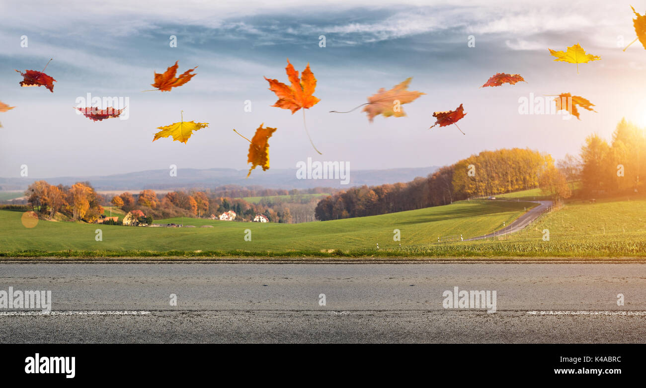 Back road foliage hi-res stock photography and images - Alamy