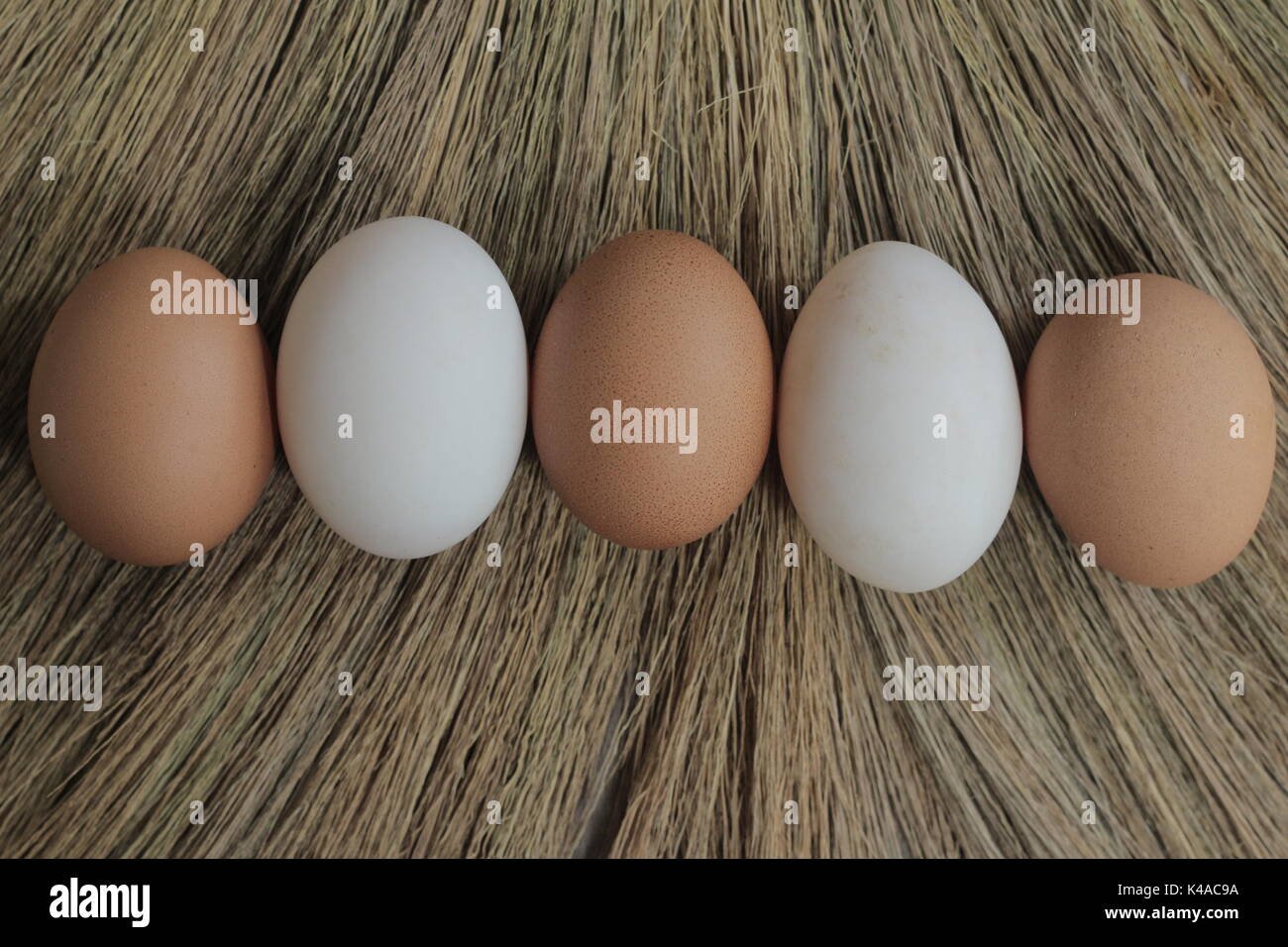 fresh hens eggs Stock Photo - Alamy