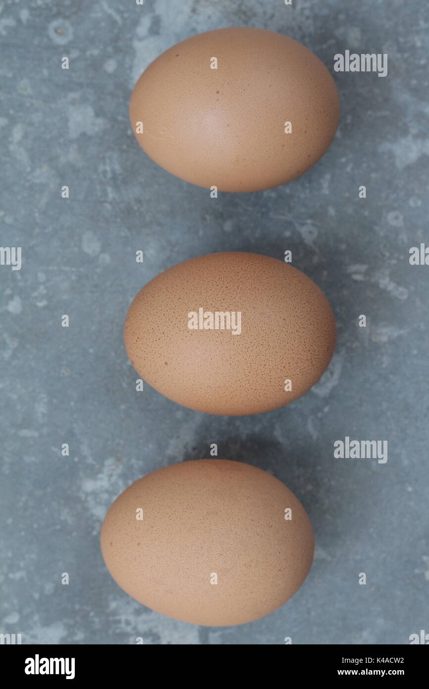 three fresh hens eggs Stock Photo - Alamy