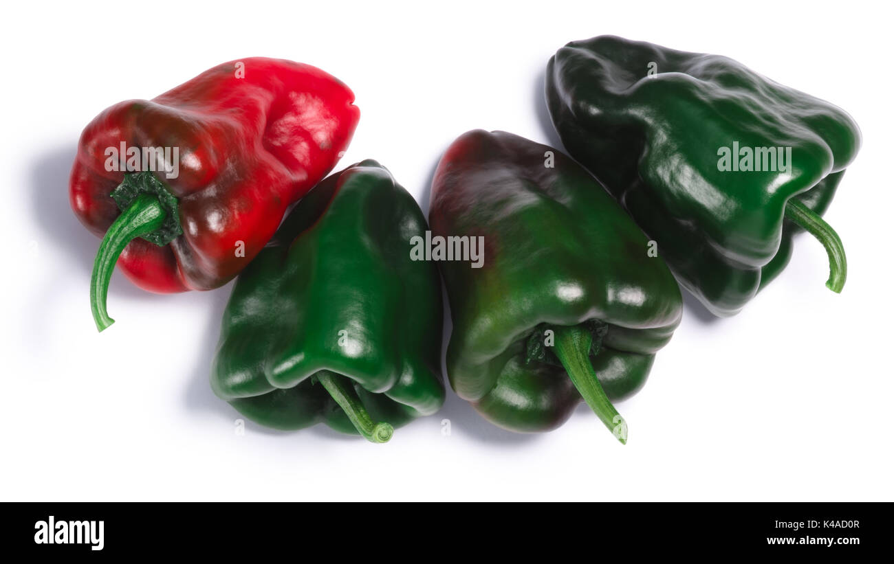 Ancho Grande chile peppers (Capsicum annuum), top view. Clipping paths ...