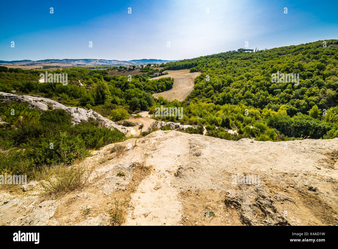 Green weeds arid rocks hi-res stock photography and images - Alamy