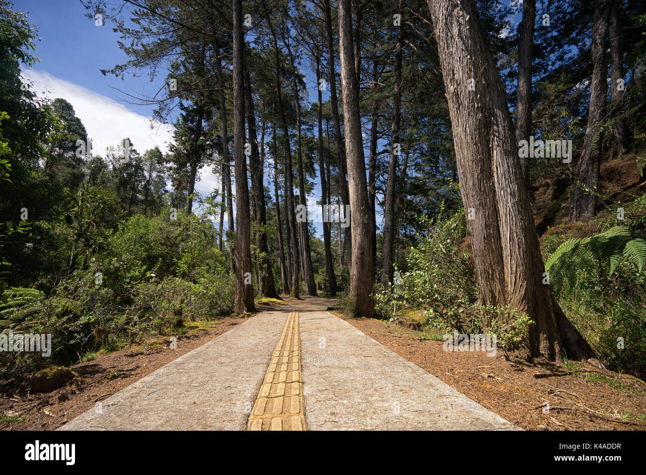 Arvi High Resolution Stock Photography and Images - Alamy