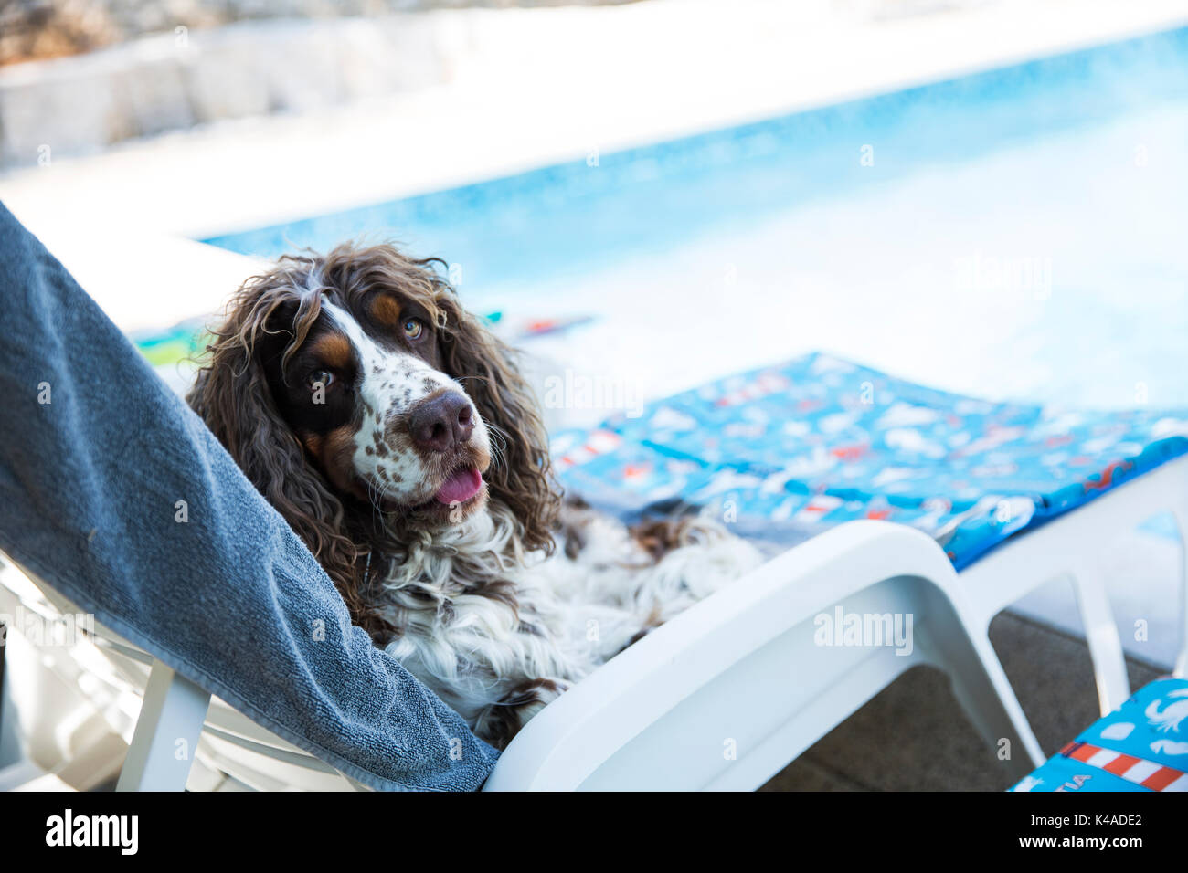 Canicular days hi-res stock photography and images - Alamy