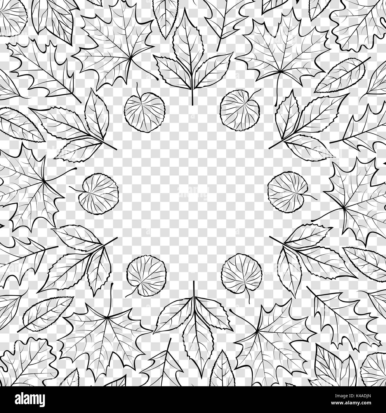 Autumn foliage fall leaves Black and White Stock Photos & Images - Alamy