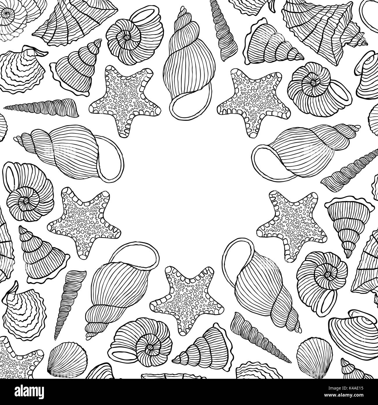 Sea shells starfish background Black and White Stock Photos & Images ...