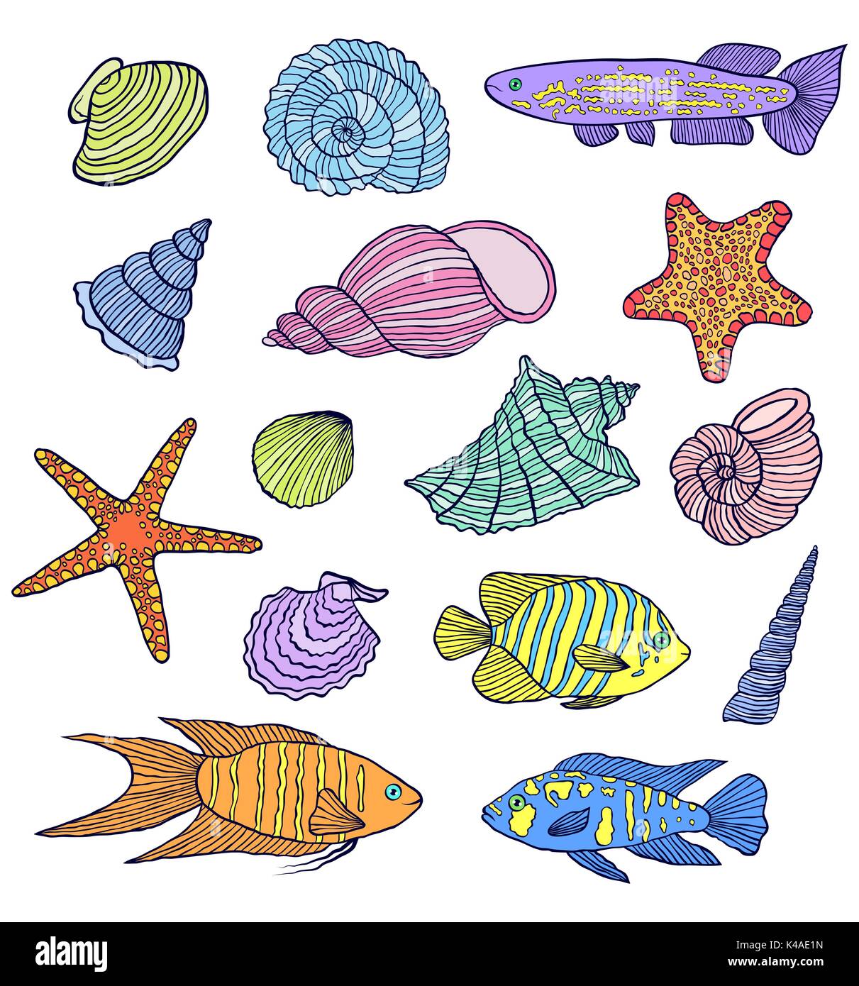 Shells white background Stock Vector Images - Alamy