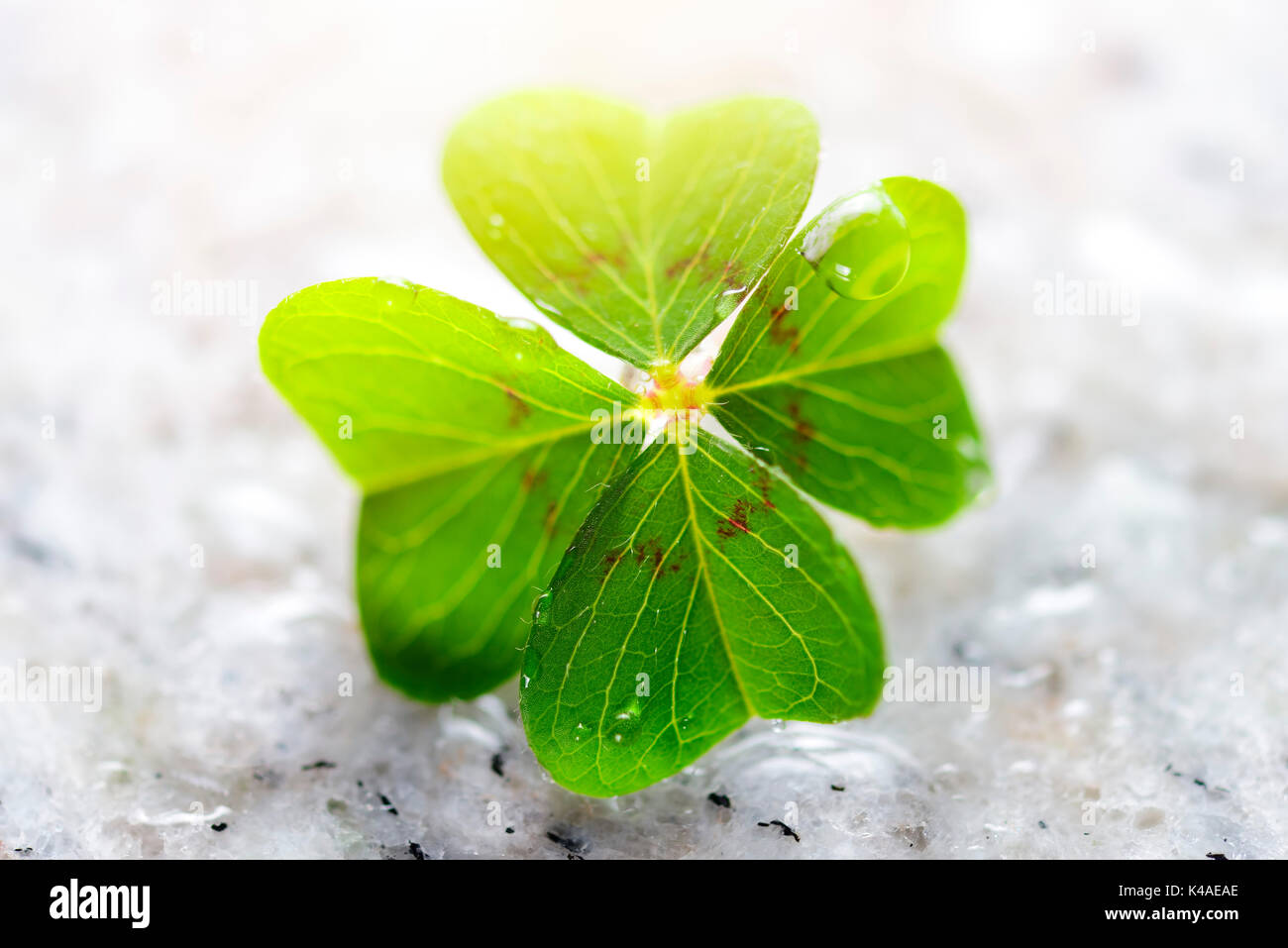 Four symbol hi-res stock photography and images - Alamy