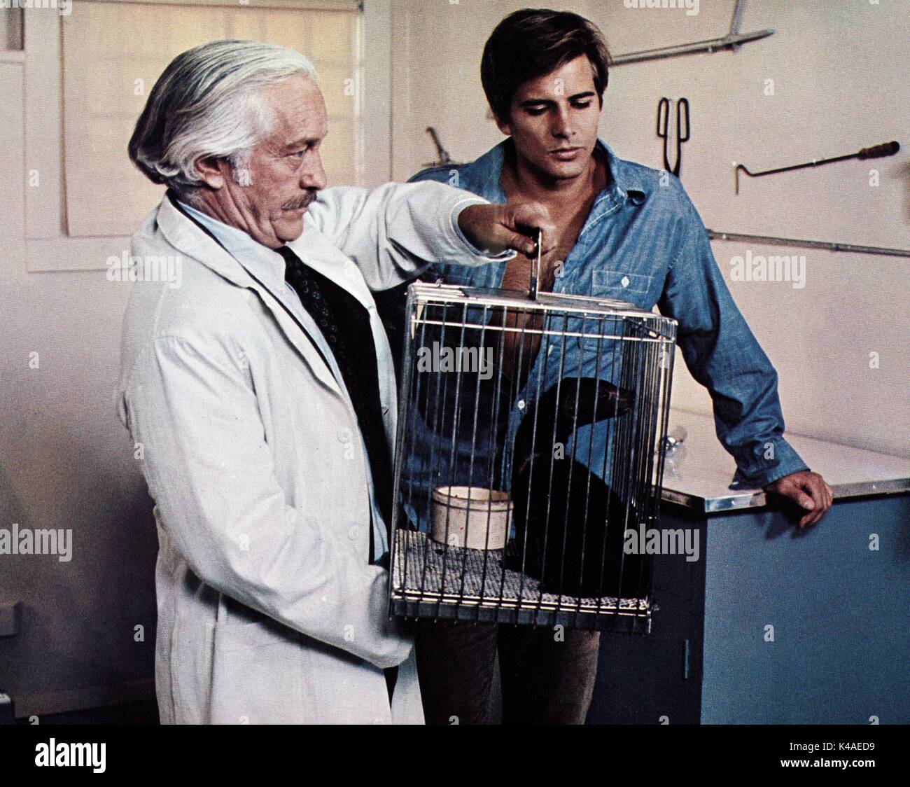 Sssssss (Don't say it, hiss it), aka: Sssssnake Kobra, USA 1973, Regie ...