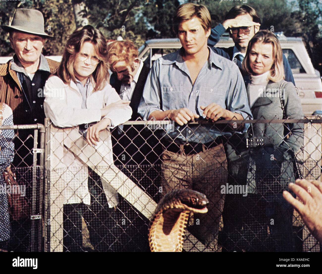 Sssssss (Don't say it, hiss it), aka: Sssssnake Kobra, USA 1973, Regie ...