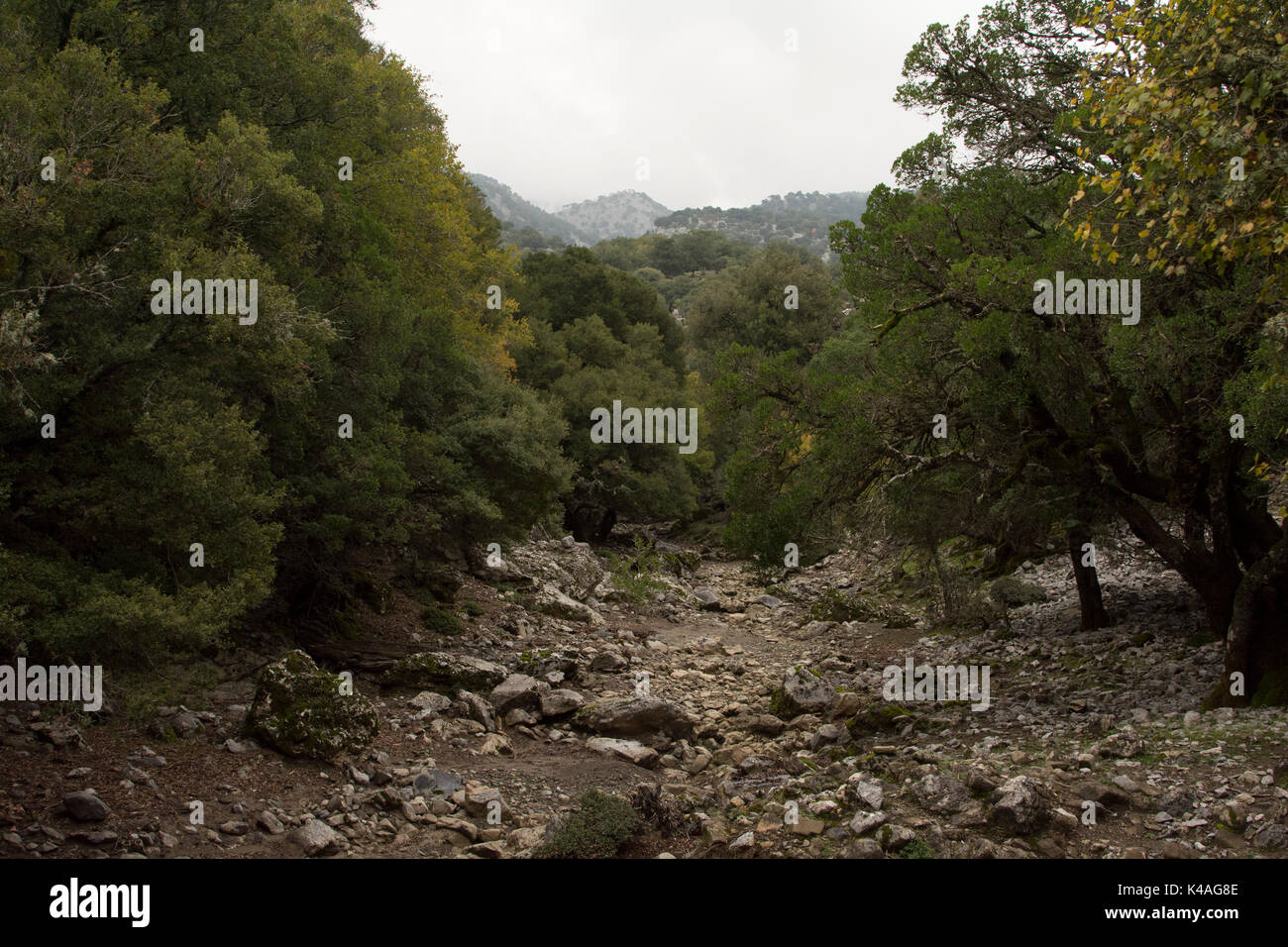 Calabrian mountains hi-res stock photography and images - Alamy