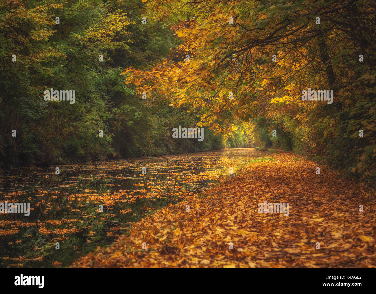 Birmingham landscape hi-res stock photography and images - Alamy