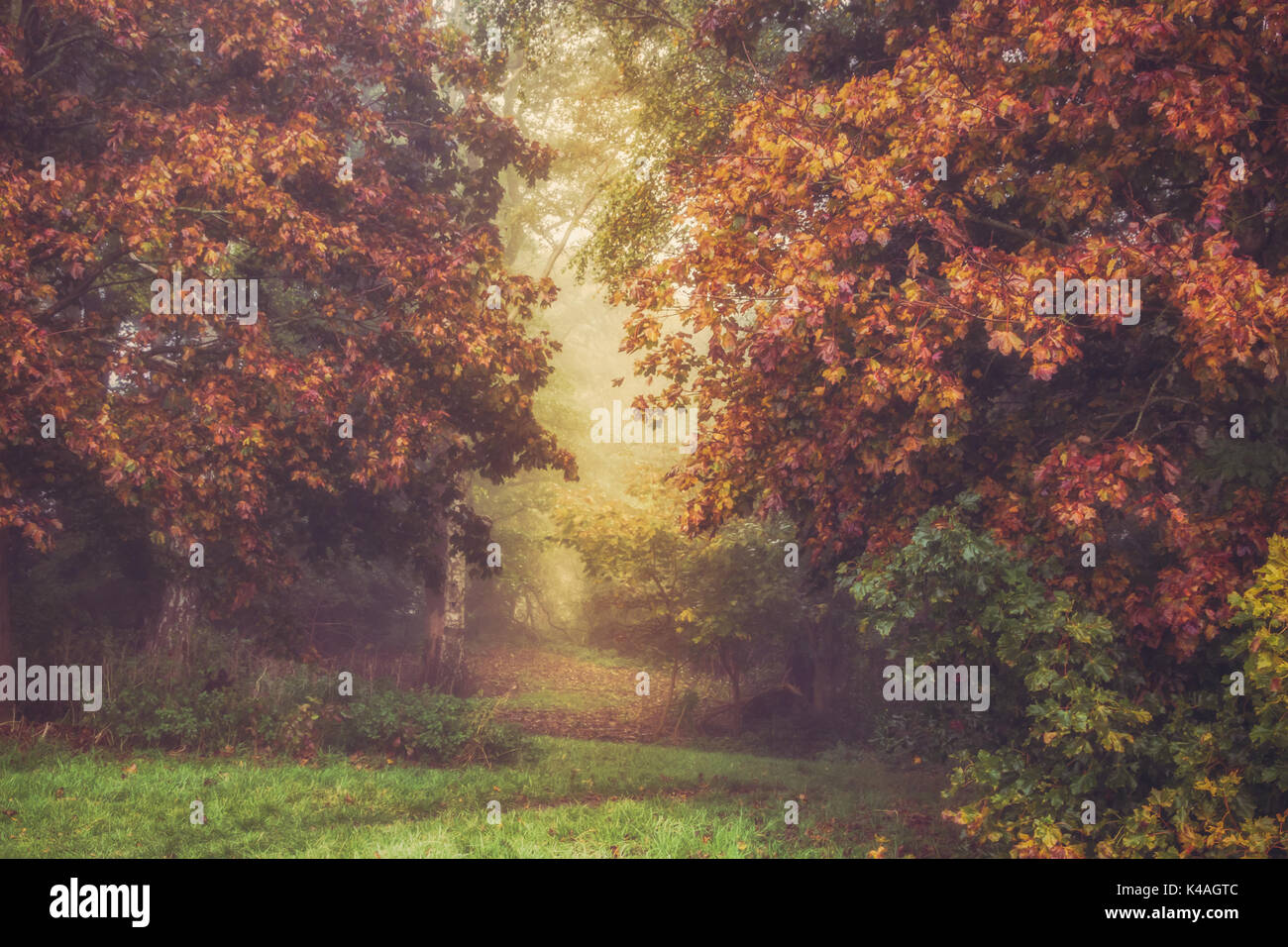 Birmingham landscape hi-res stock photography and images - Alamy