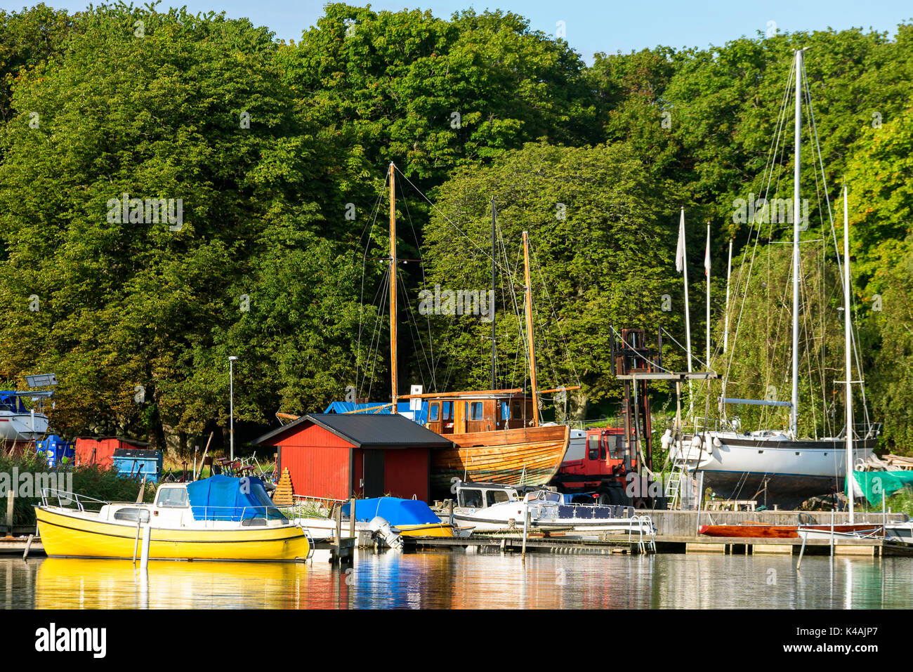 Lots of boats on land and at sea in the marina. Dense forest in the ...