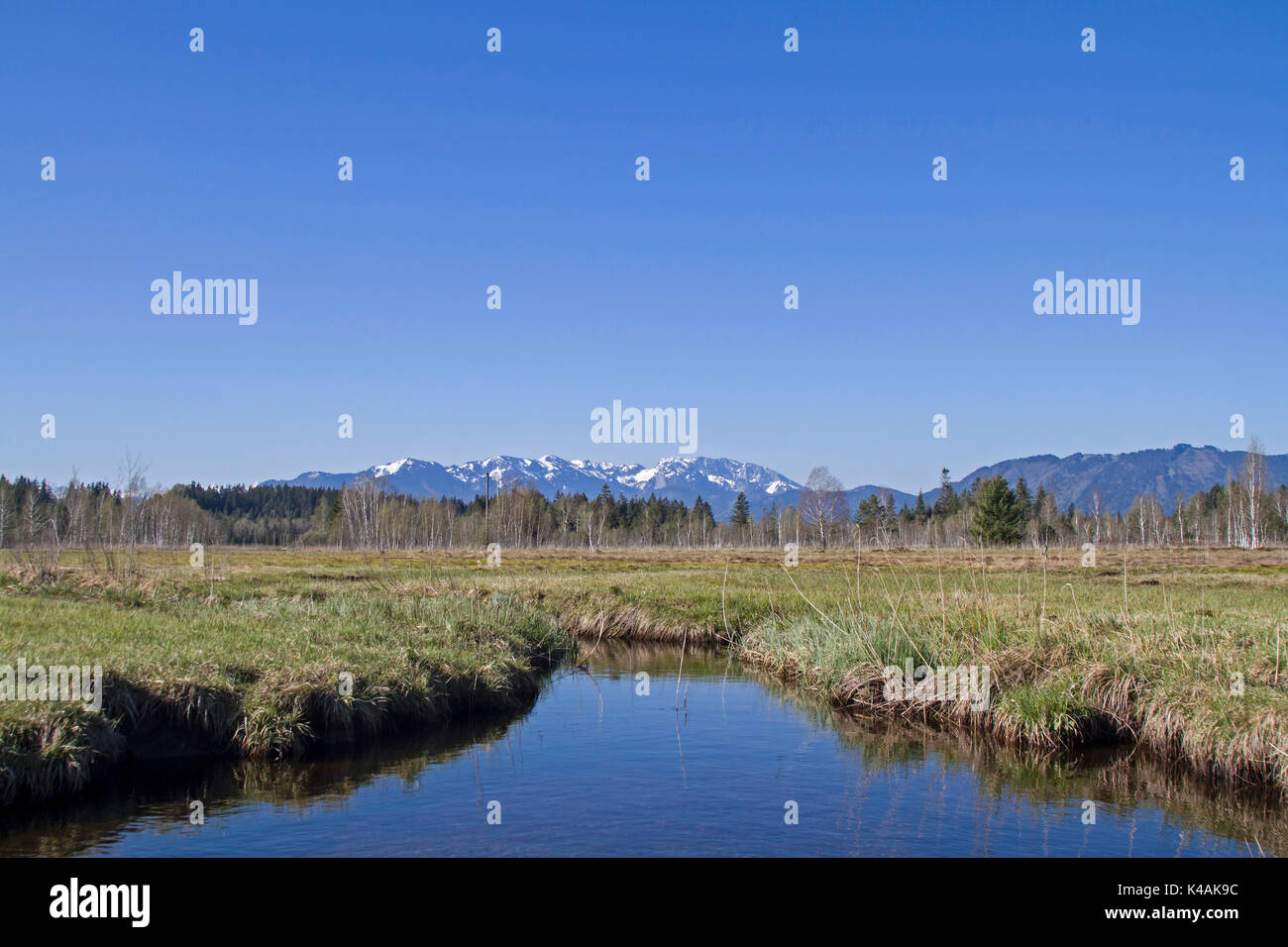 Idyllische Moorlandschaft Im Isarwinkel Stock Photo - Alamy
