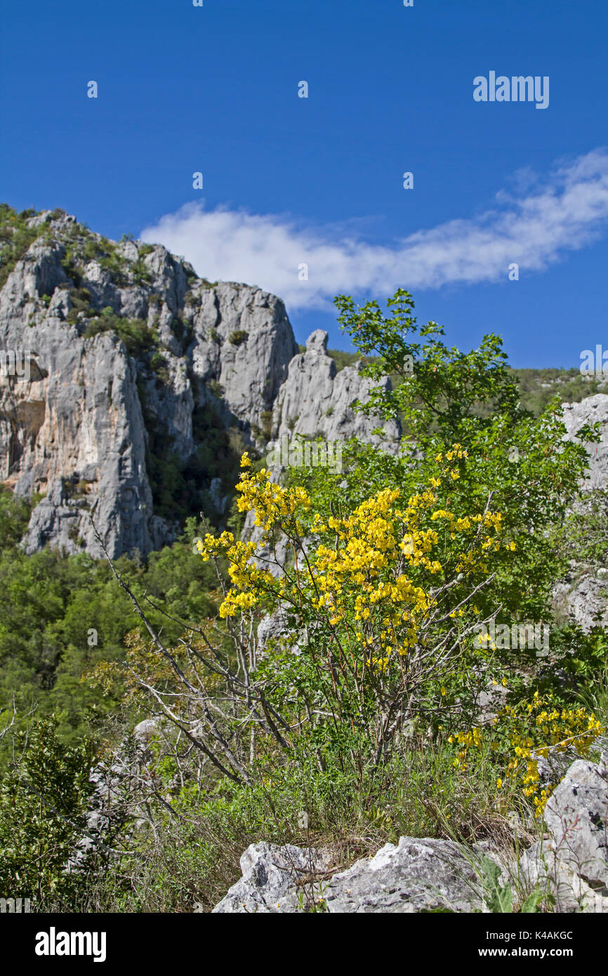 Natural Landscape With Rocks In The Mirna Valley In Istria Stock Photo ...