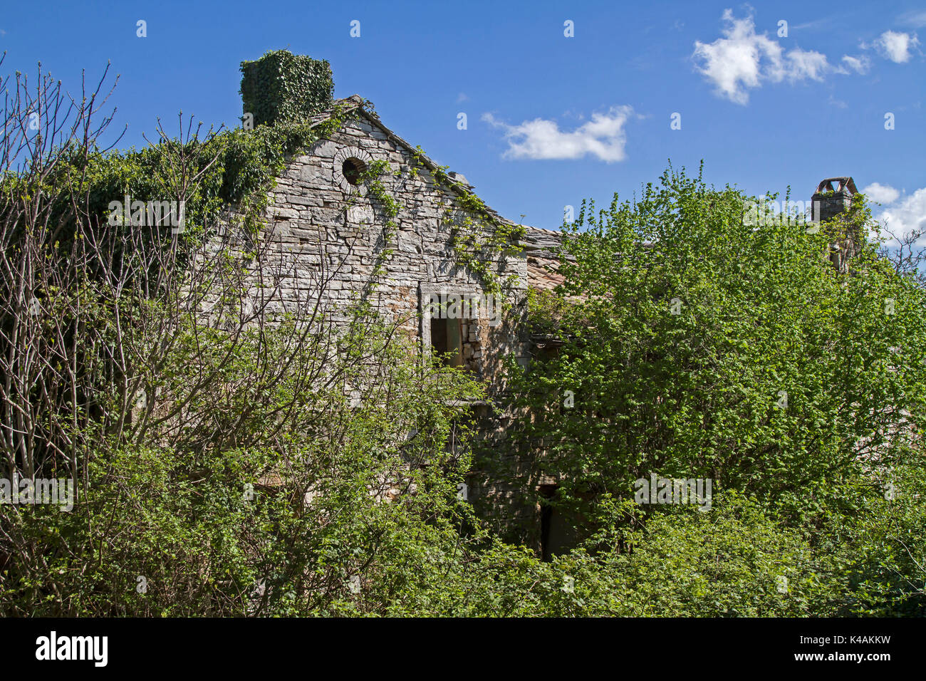 Abandoned And Dilapidated Houses Idyllic Overgrown With Plants ...