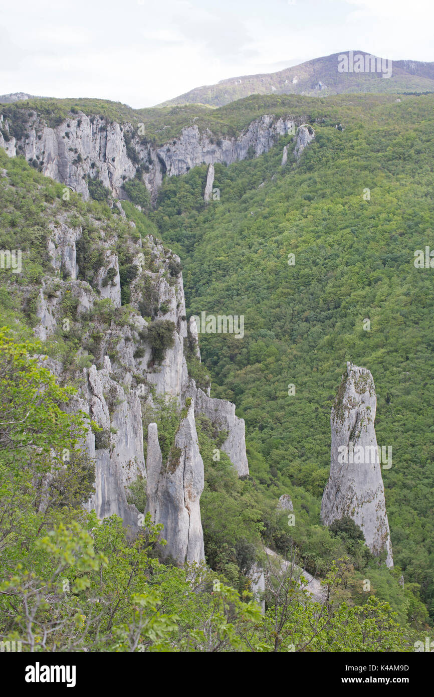 Vela Draga Is A Nature Reserve In Istria Stock Photo - Alamy