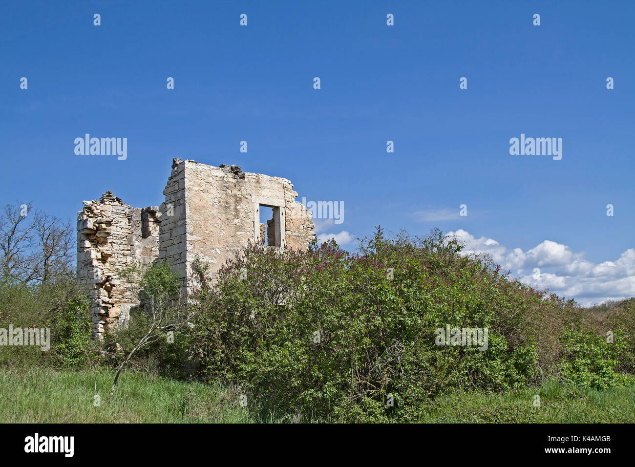 Abandoned And Decayed Houses Idyllic With Plants Overgrown The Idyllic ...