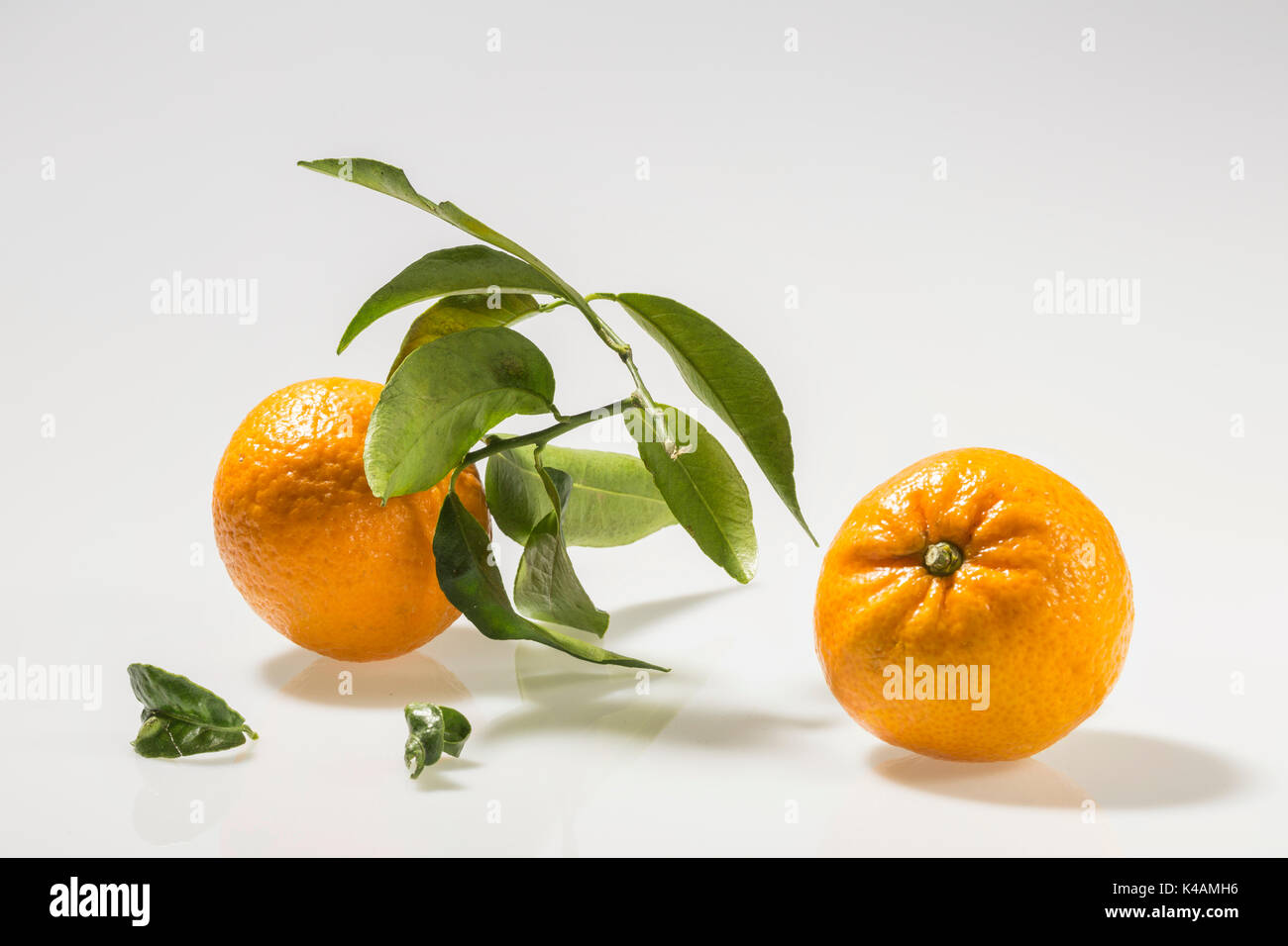 Tangerines cutout hi-res stock photography and images - Alamy