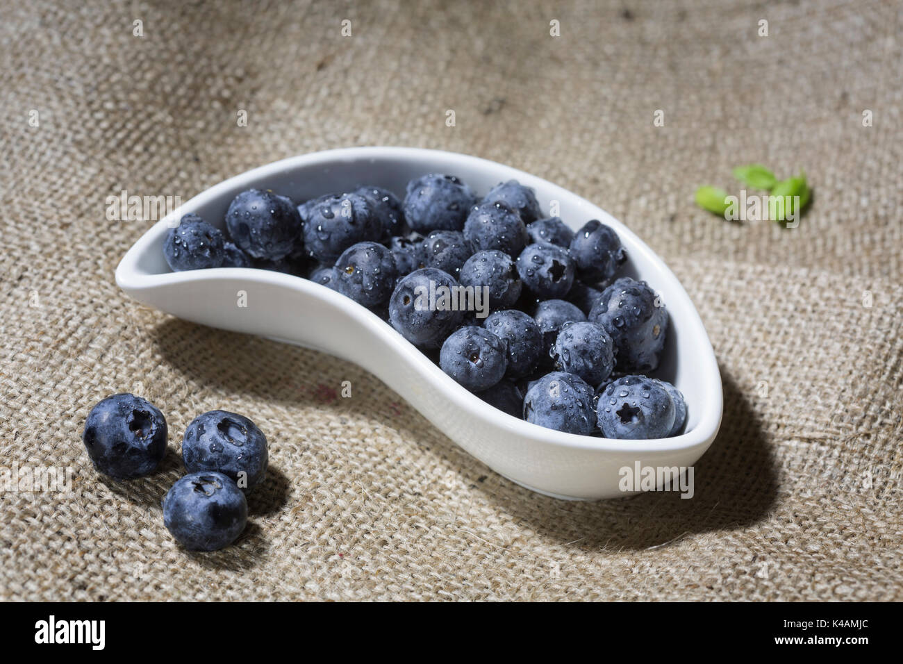 The Cultivated Hay Also Called Vaccinium Is Derived From The American ...