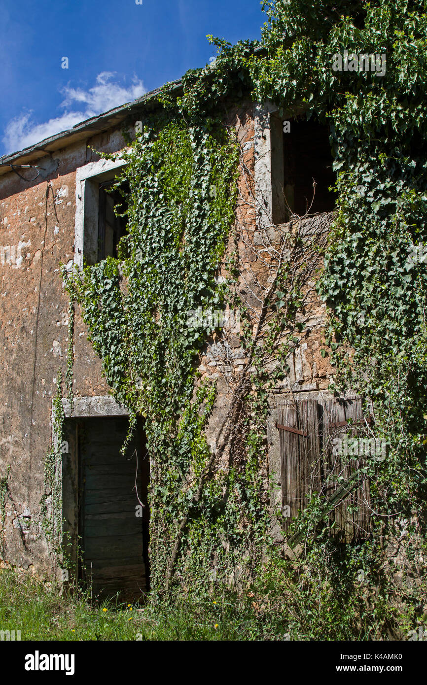 Abandoned And Decayed Houses Idyllic With Plants Overgrown The Idyllic ...