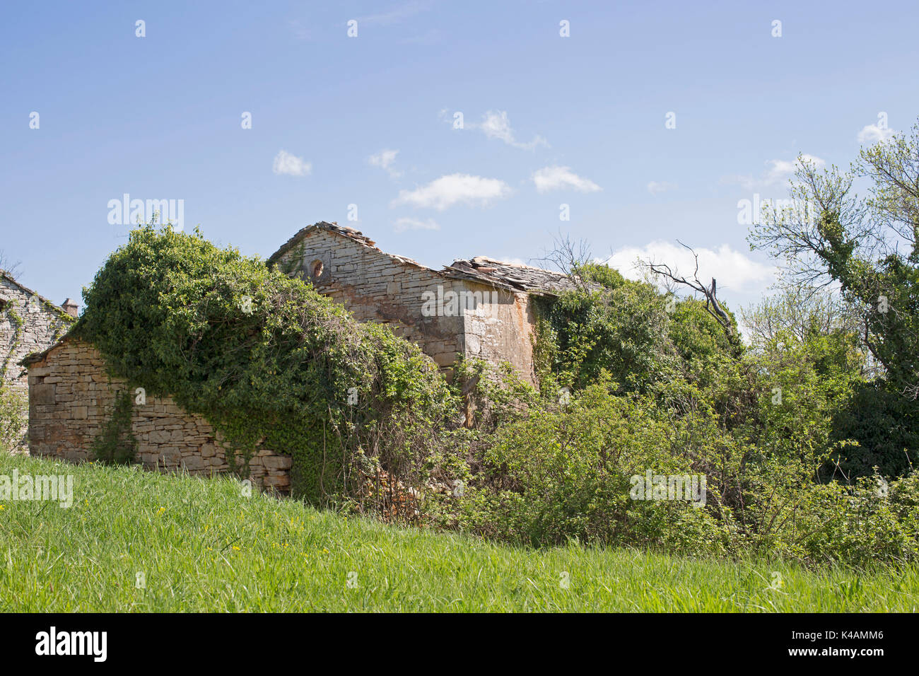 Abandoned And Dilapidated Houses Idyllic Overgrown With Plants ...