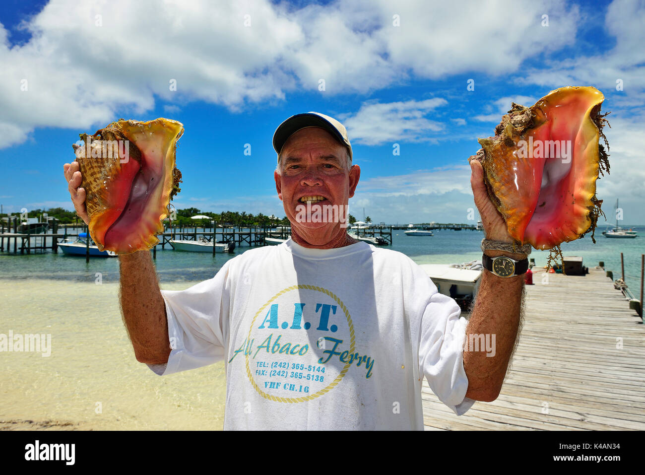 Edward Pinder showing Strombus, Guana Cay, Abacos Islands, Bahamas ...