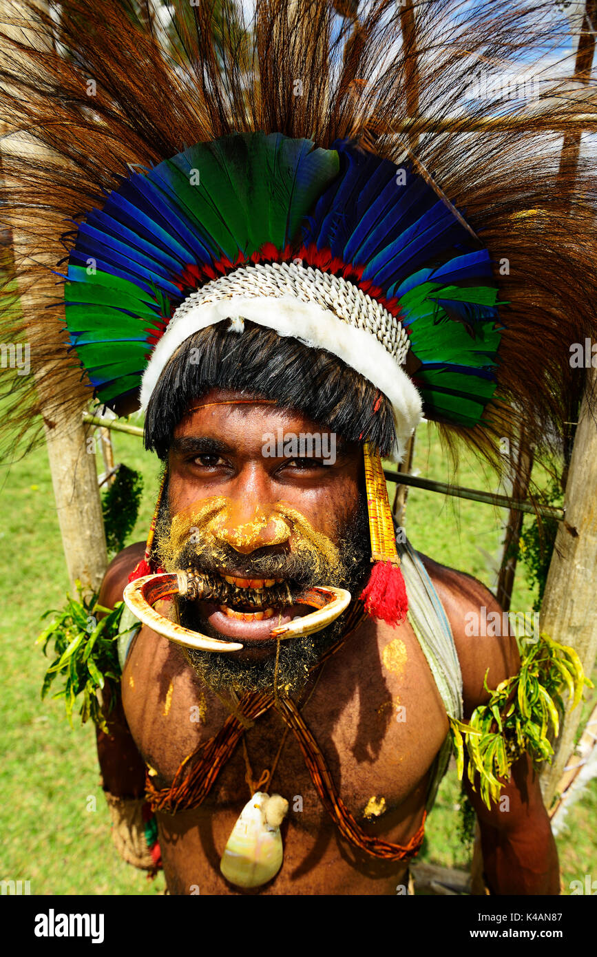 The highland tribes presenting themselves at the Sing Sing of Goroka ...
