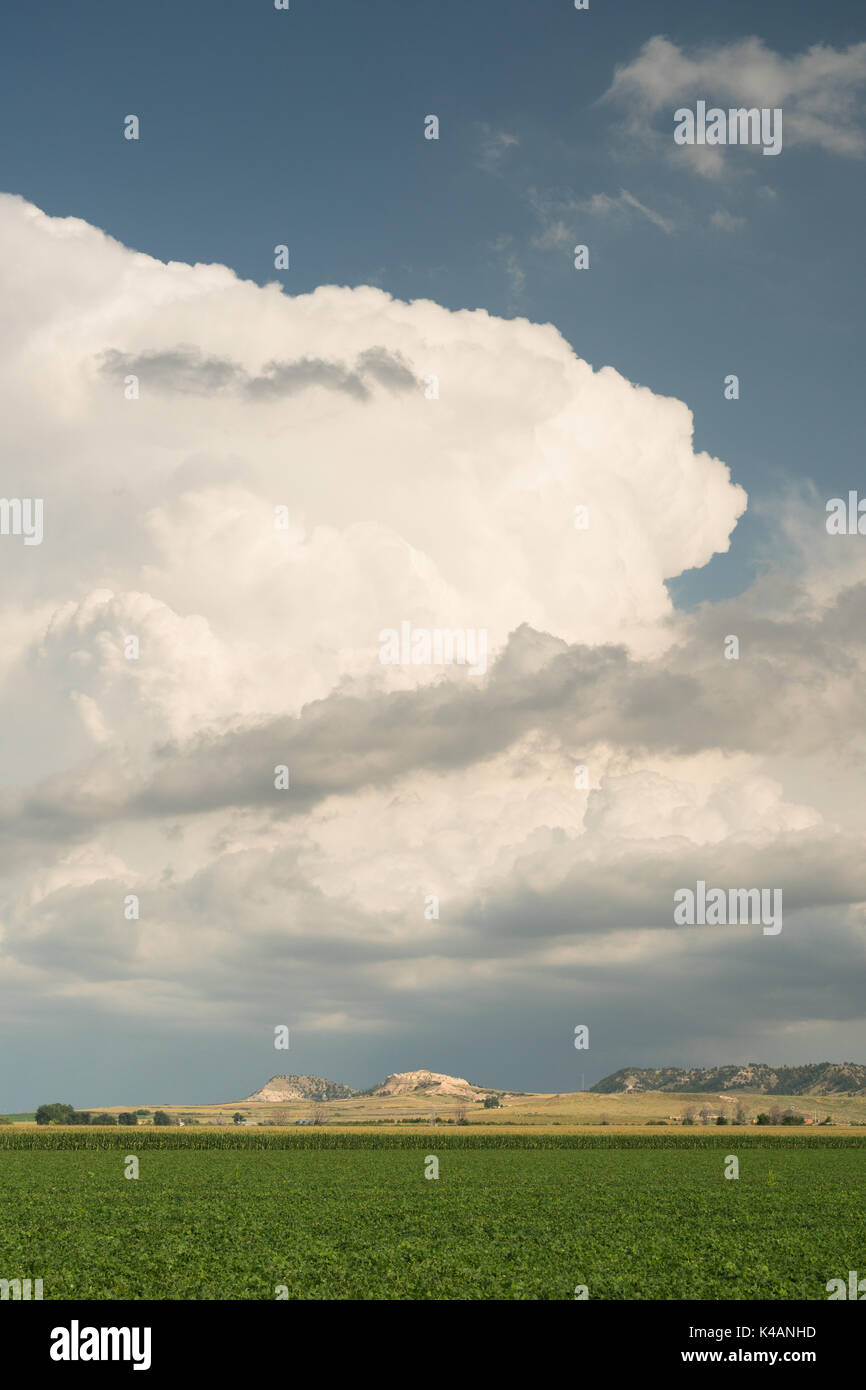 The light from a sun dropping low on the horizon hits a storm cloud ...