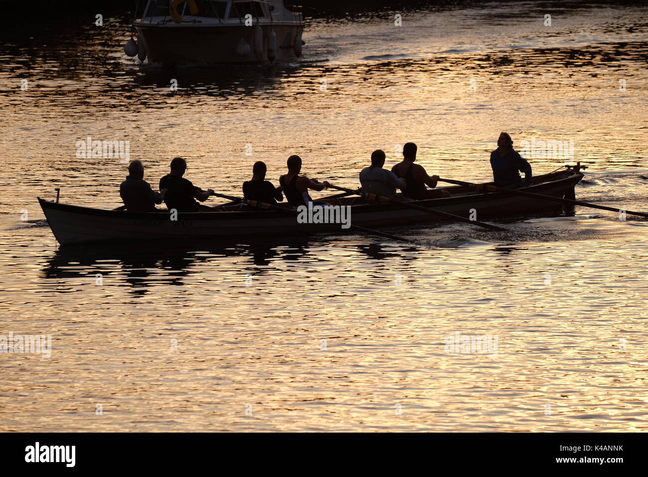 six man cutter boat rowers and cox Stock Photo - Alamy