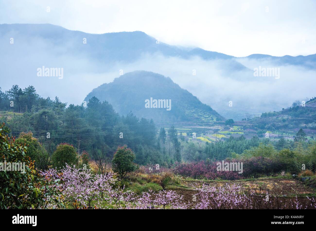 The colorful countryside scenery in the mist Stock Photo - Alamy
